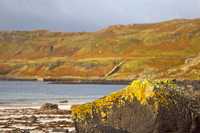 Staffa Island | Natureflip