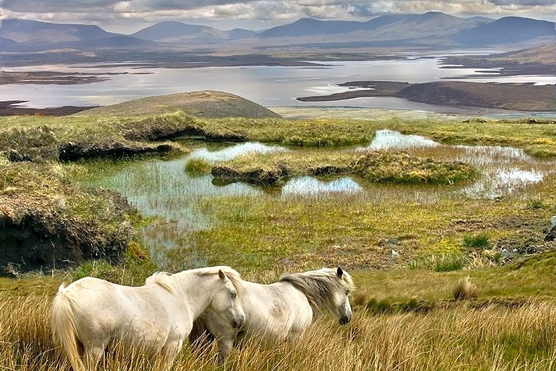 Achill Island | Natureflip