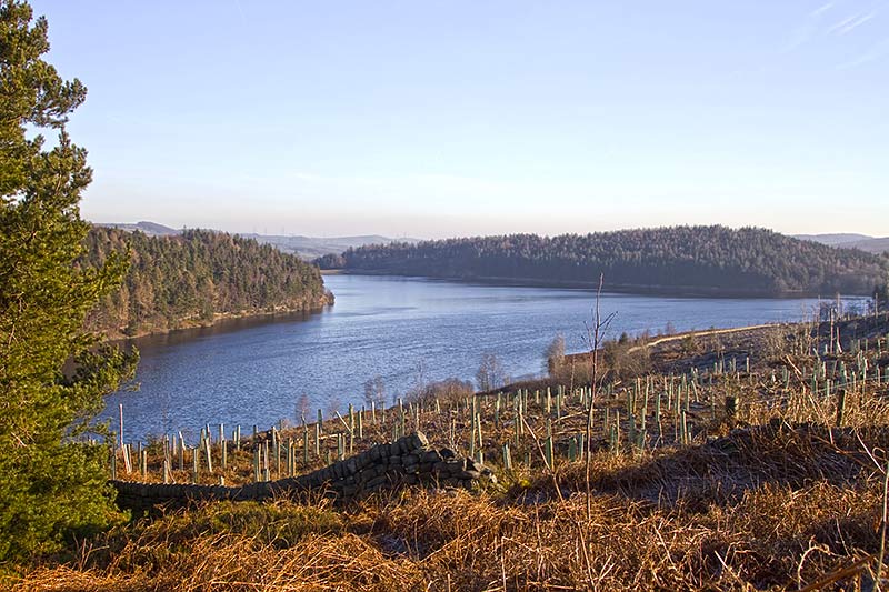 Langsett Reservoir | Natureflip