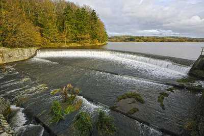Blagdon Lake | Natureflip
