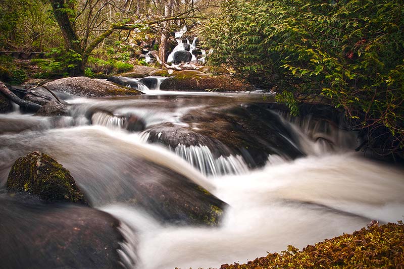 Becky Falls | Natureflip