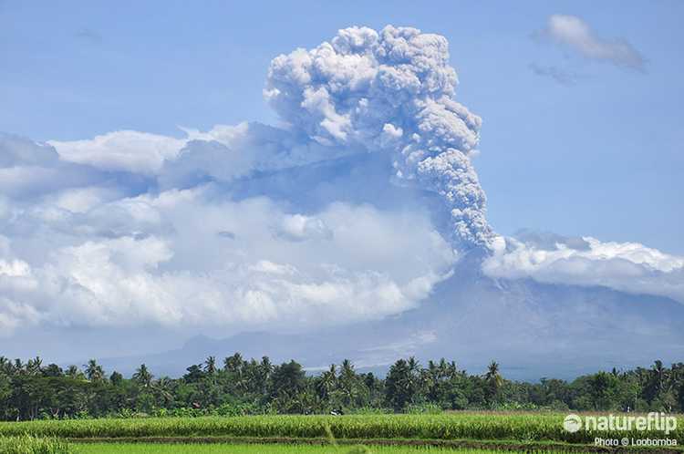 Hiking on Mount Merapi | Natureflip