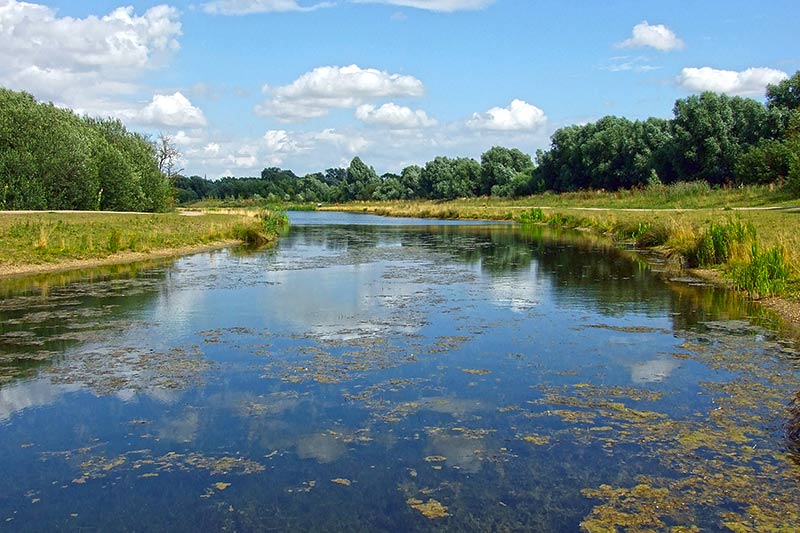 Stanwick Lakes | Natureflip
