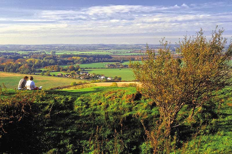 Barton Hills Nature Reserve | Natureflip