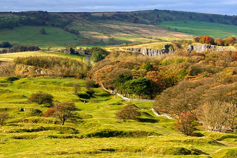 Derbyshire Dales National Nature Reserve | Natureflip