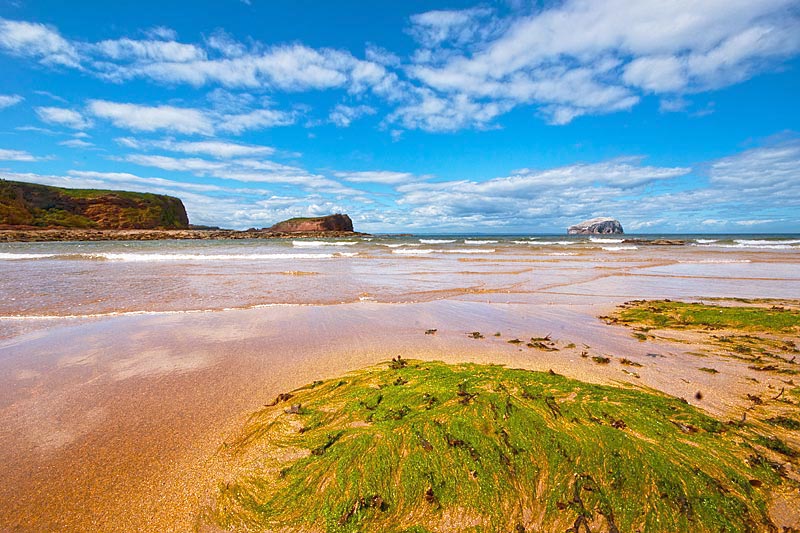 Seacliff Beach | Natureflip
