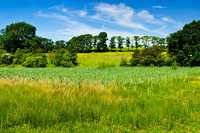 Reddish Vale Country Park | Natureflip