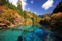 Five Flower Lake | Natureflip