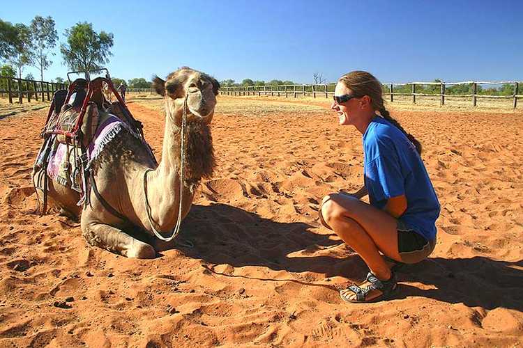 Camel Riding In The Australian Outback | Natureflip