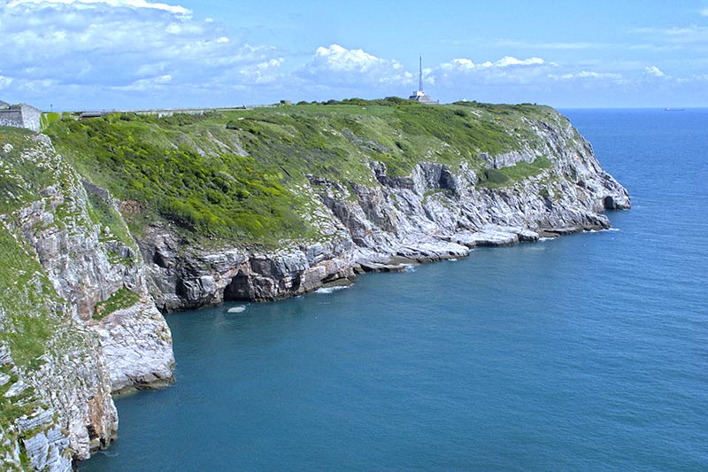 Berry Head - Sharkham Point Nature Reserve | Natureflip