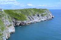 Berry Head - Sharkham Point Nature Reserve | Natureflip