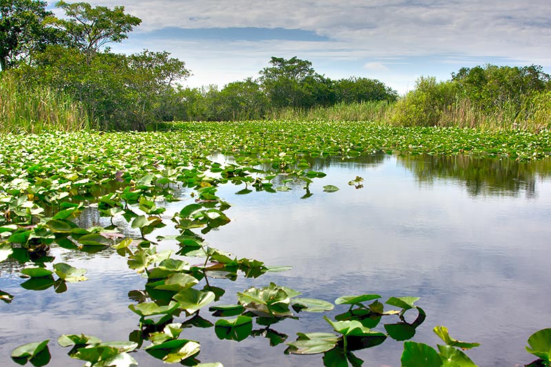 Everglades National Park | Natureflip