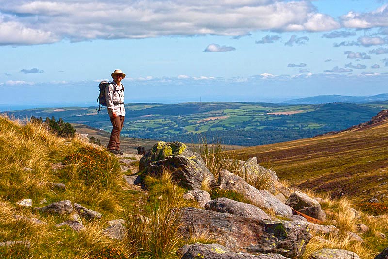 Foel Grach | Natureflip