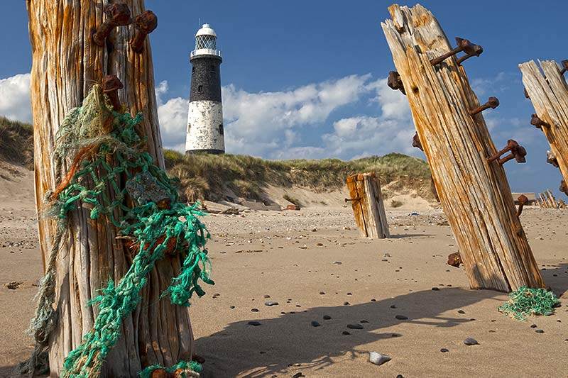 Spurn Nature Reserve | Natureflip