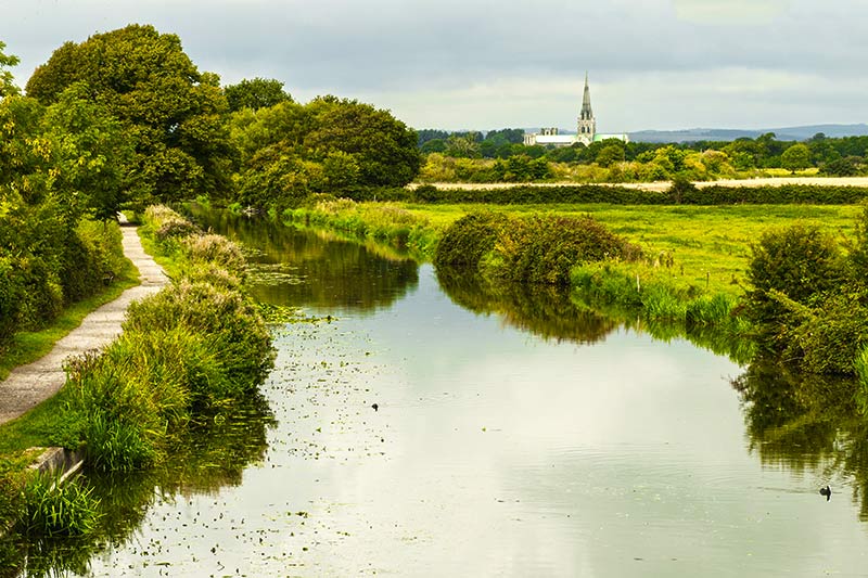 Chichester Canal | Natureflip