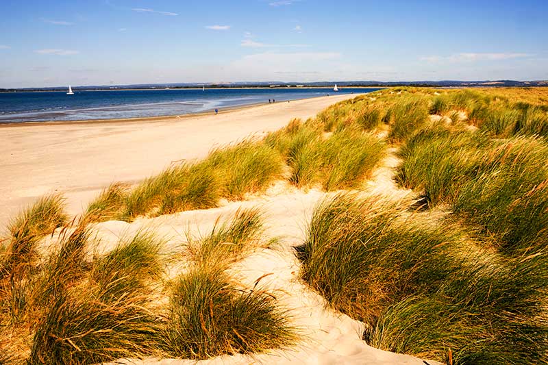 West Wittering Beach | Natureflip