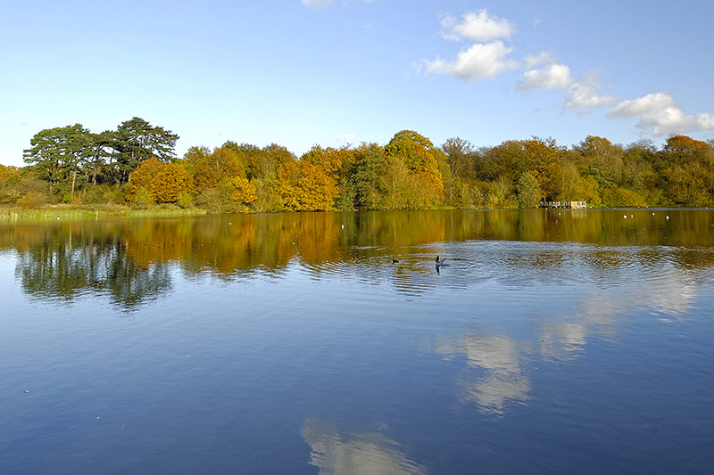 Hatfield Forest Nature Reserve | Natureflip