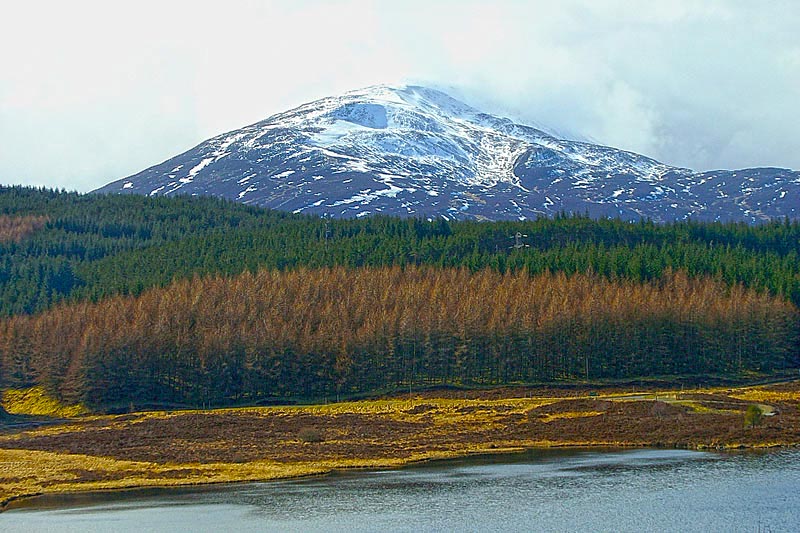 Schiehallion | Natureflip