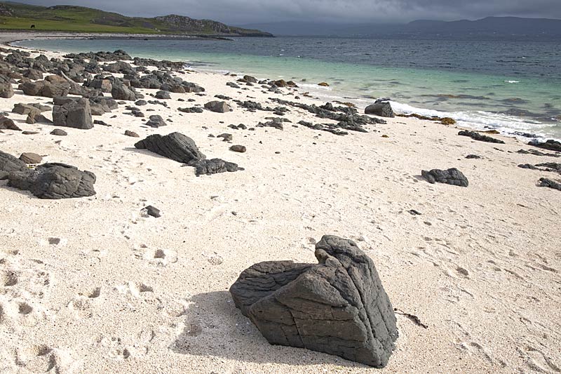 Coral Beaches | Natureflip