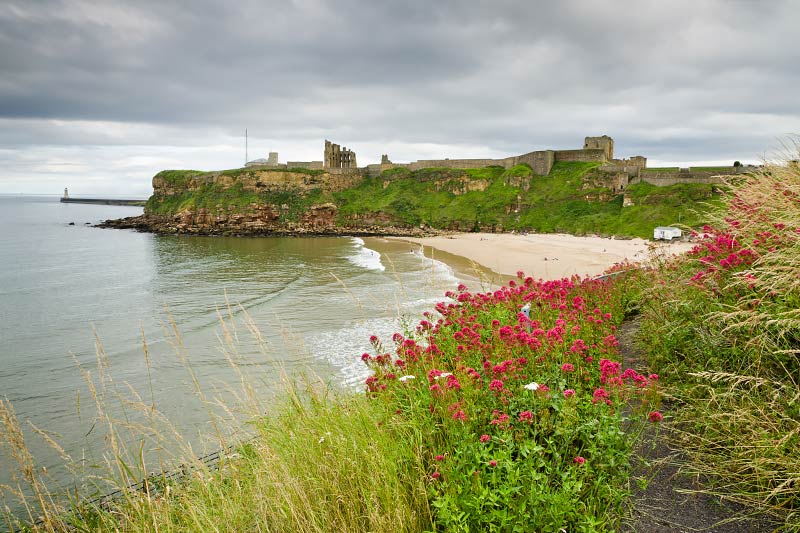 Tynemouth King Edwards Bay Beach | Natureflip