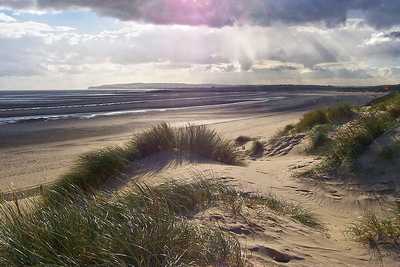Camber Sands | Natureflip
