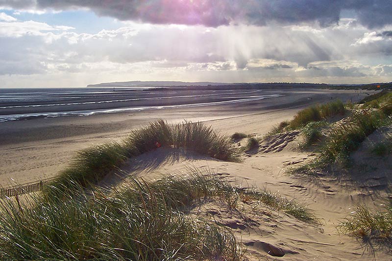 Camber Sands | Natureflip