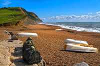 Hive Beach | Natureflip