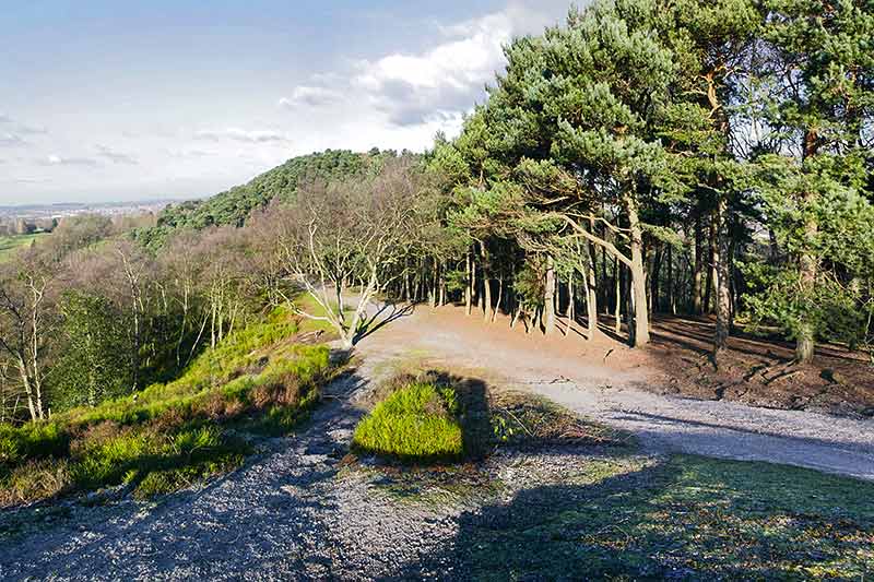 Lickey Hills Country Park | Natureflip