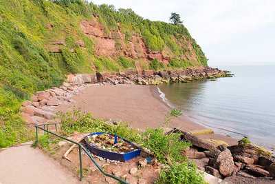 Maidencombe Beach | Natureflip