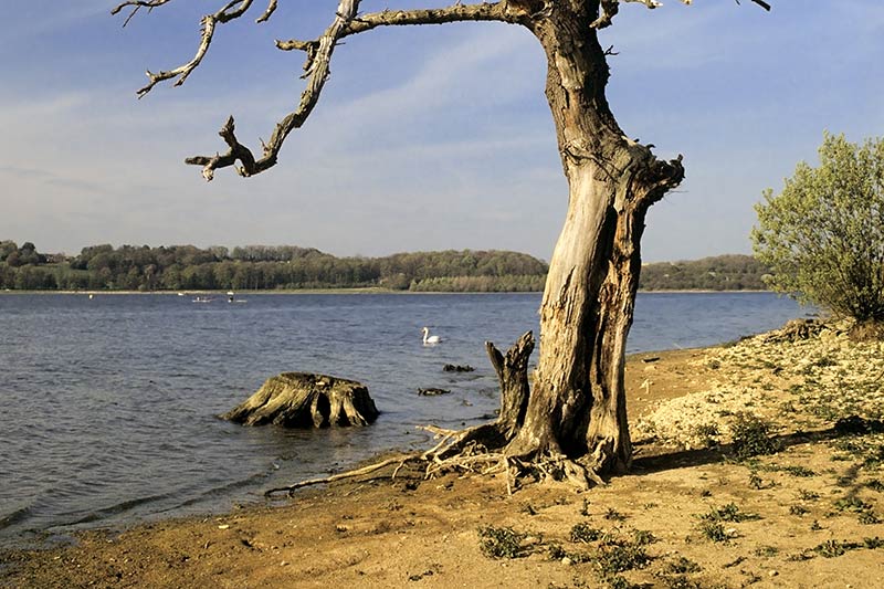 Rutland Water Park | Natureflip