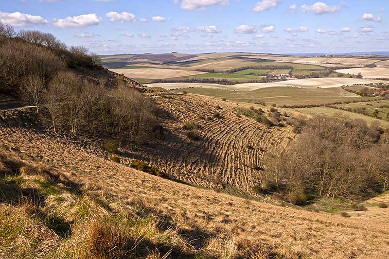 Lewes Downs (Mount Caburn) Nature Reserve | Natureflip