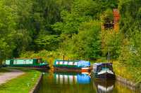 Caldon Canal | Natureflip
