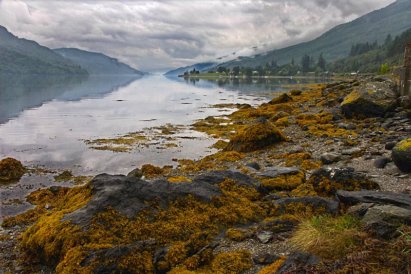 Loch Long | Natureflip