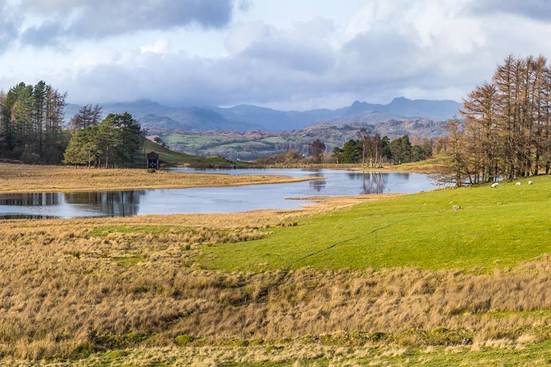 Wet Sleddale | Natureflip