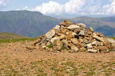 Great Dodd | Natureflip