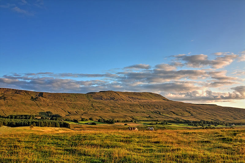 Little Whernside | Natureflip