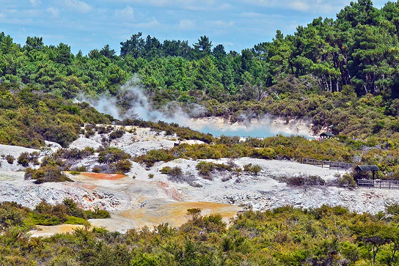 Rotorua | Natureflip