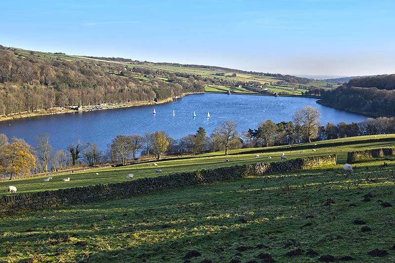 Damflask Reservoir | Natureflip