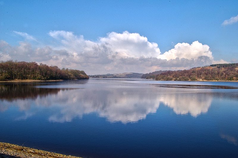 Rivington Reservoir | Natureflip