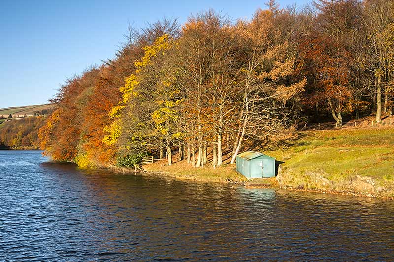 Ryburn Reservoir | Natureflip