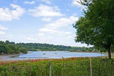 Weir Wood Reservoir | Natureflip
