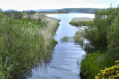 Slapton Ley Nature Reserve | Natureflip