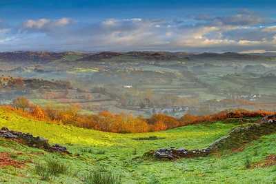 Whitbarrow Nature Reserve | Natureflip
