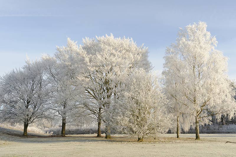 Stanborough Park | Natureflip