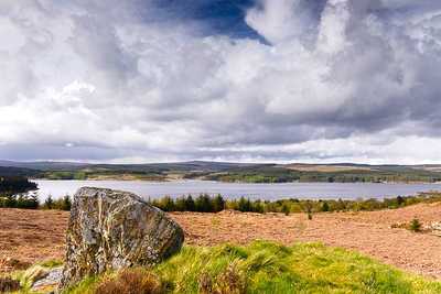 Kielder Water & Forest Park | Natureflip