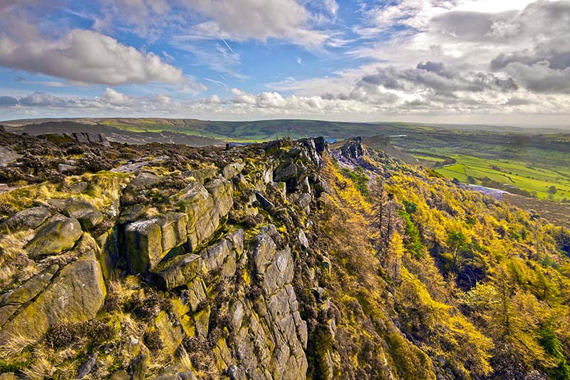 Hen Cloud | Natureflip