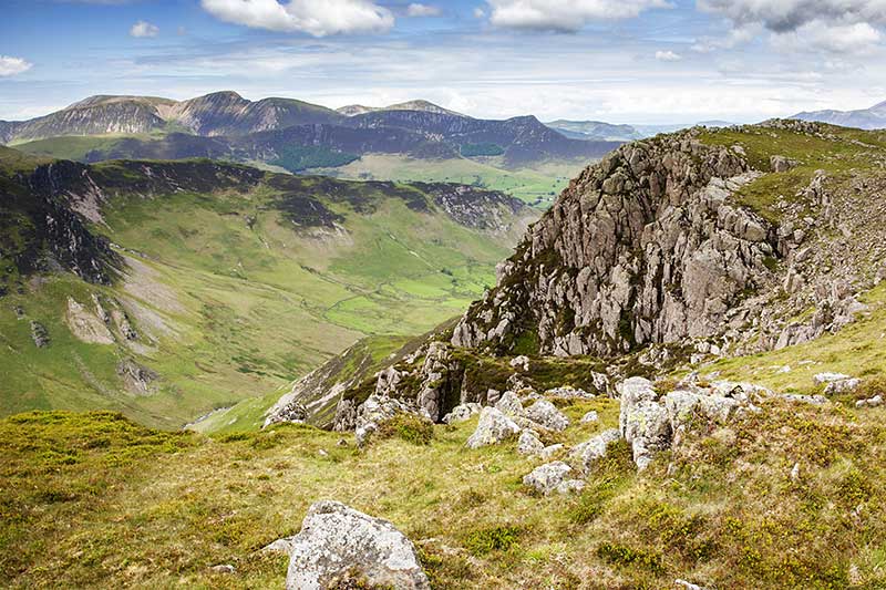 High Spy | Natureflip