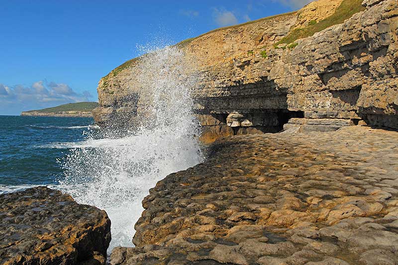 Dancing Ledge | Natureflip