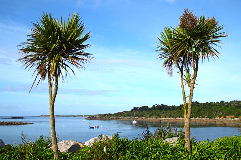 Isles of Scilly | Natureflip