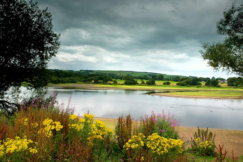 Tittesworth Reservoir | Natureflip